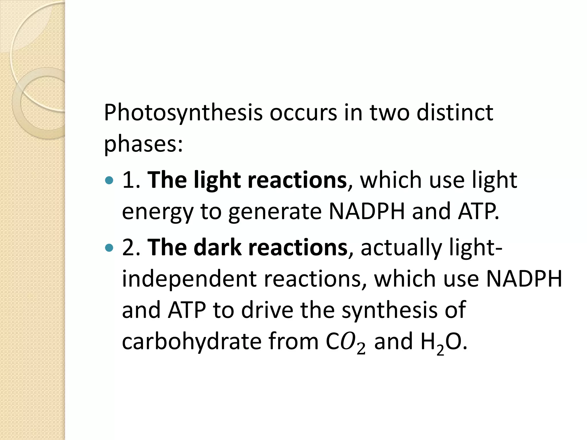 Photosynthesis | PDF