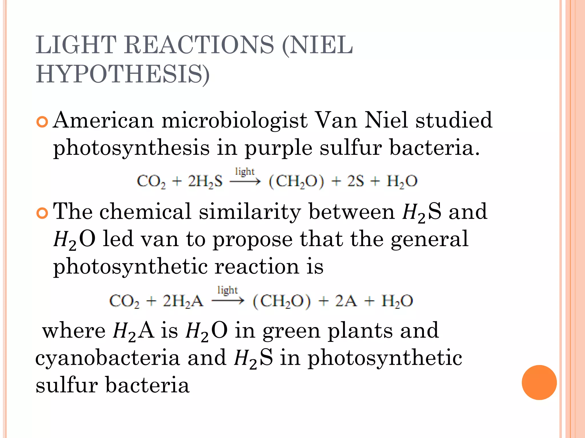 Photosynthesis | PDF
