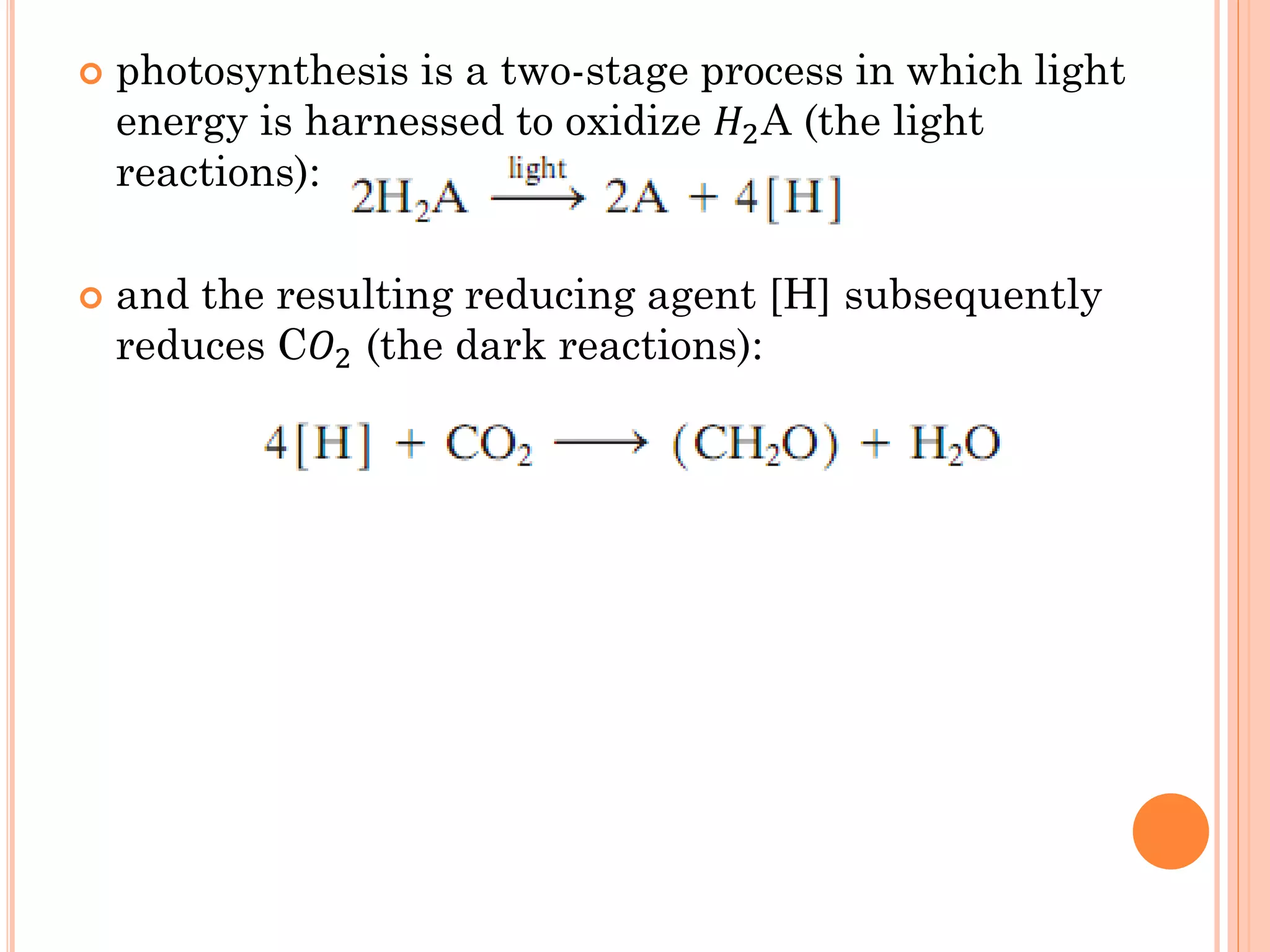 Photosynthesis | PDF