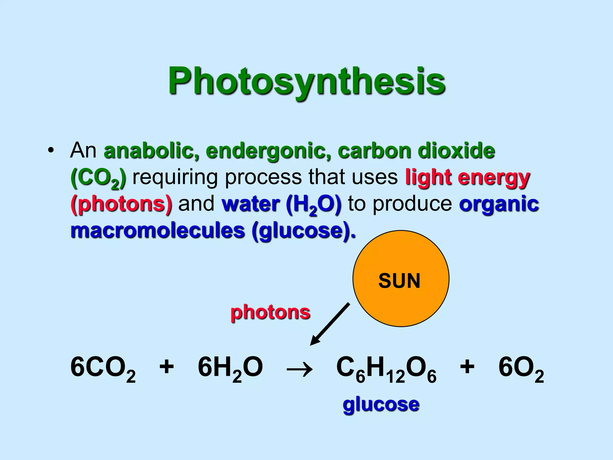 Photosynthesis | PDF