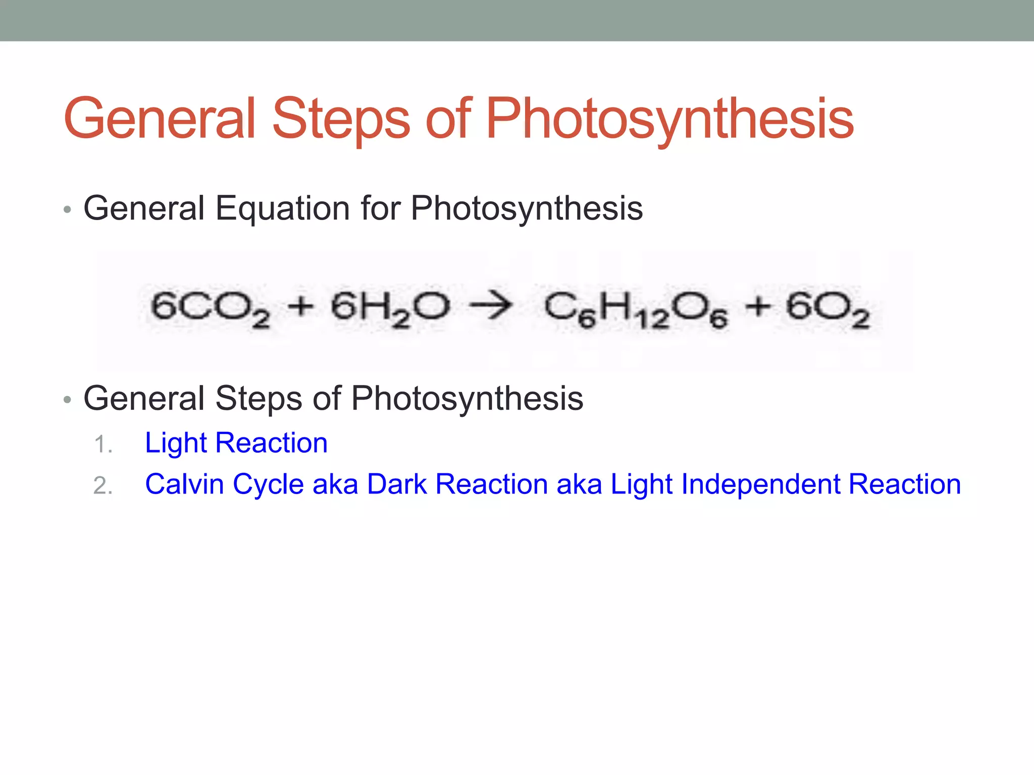 Photosynthesis | PPTX | Chemistry | Science