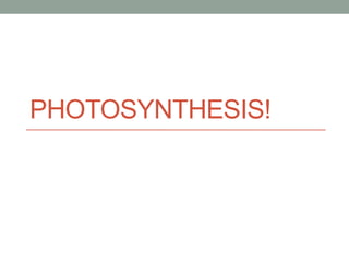 Photosynthesis | PPT