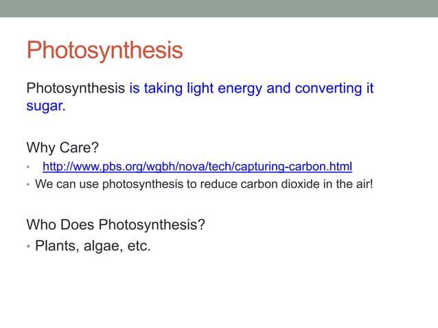 Photosynthesis | PPTX | Chemistry | Science