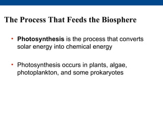 Photosynthesis | PPT