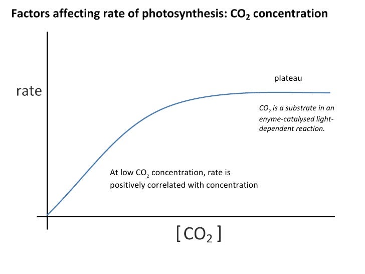 Photosynthesis
