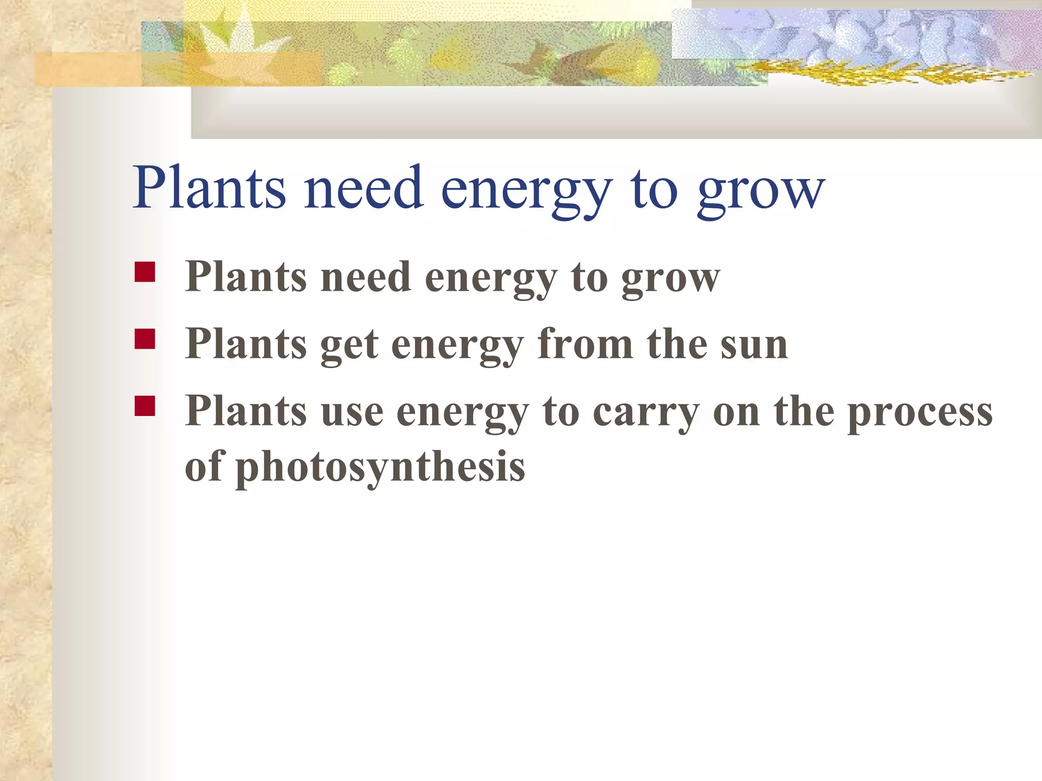Photosynthesis | PPT
