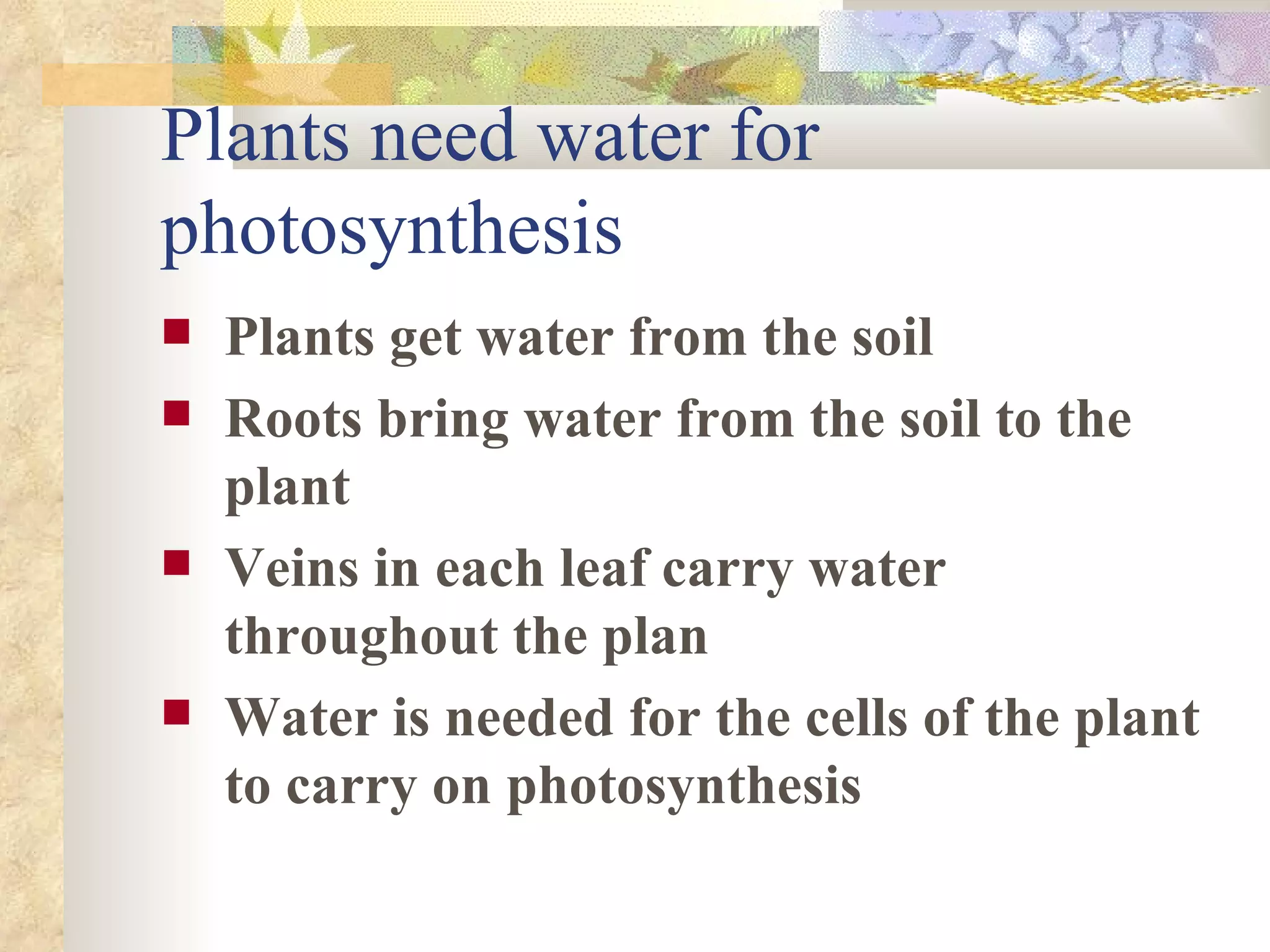 Photosynthesis | PPT
