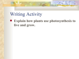 Photosynthesis | PPT