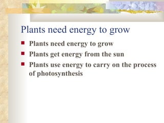 Photosynthesis | PPT