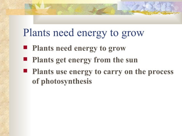 Photosynthesis | PPT