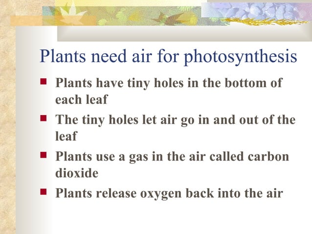 Photosynthesis | PPT