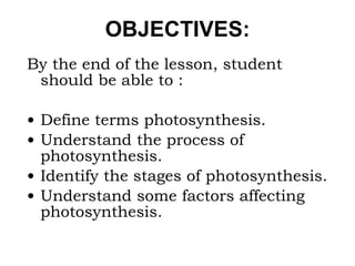 Photosynthesis | PPT