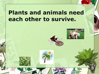 Photosynthesis | PPTX