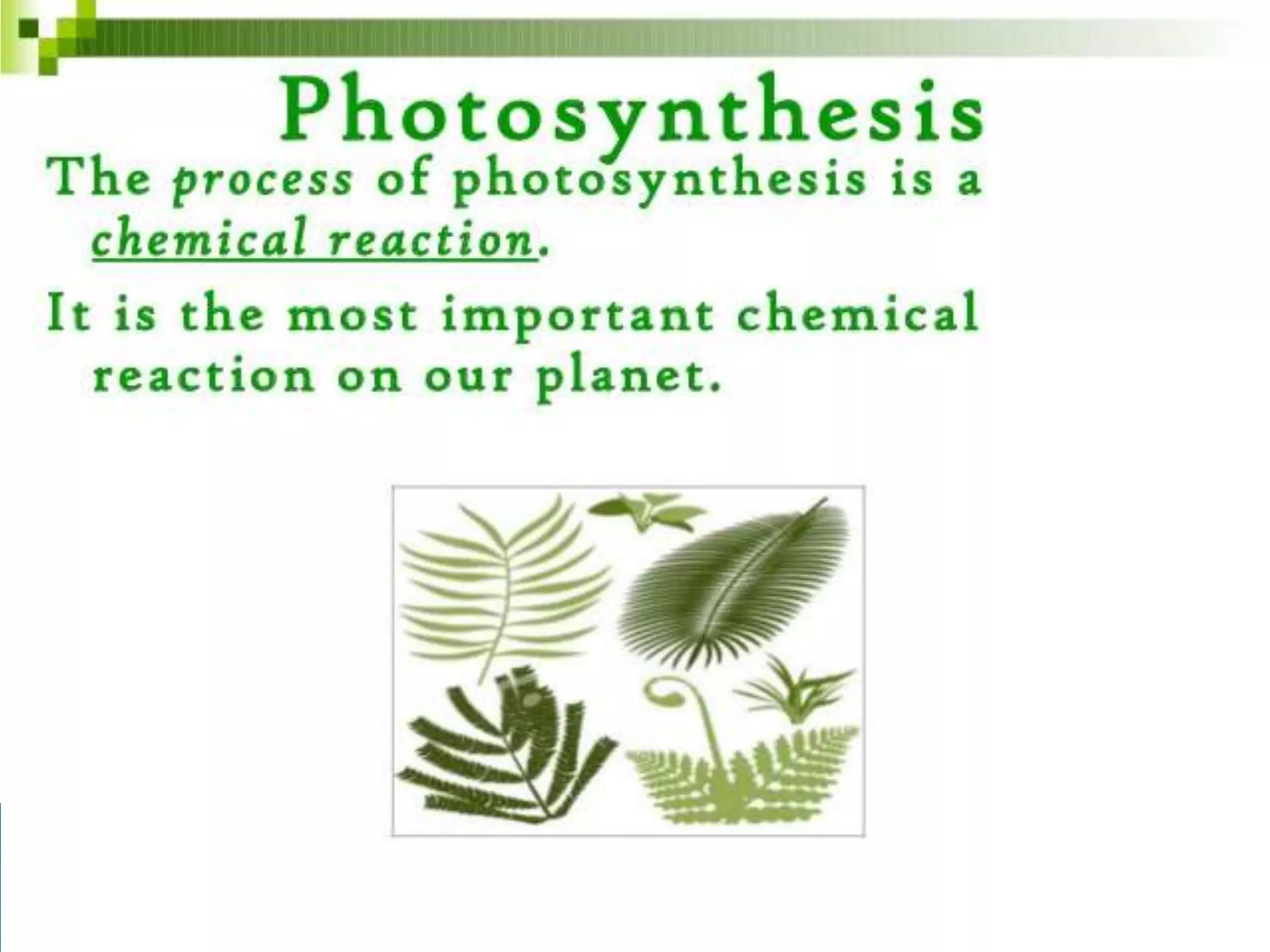 Photosynthesis (simple) | PPTX