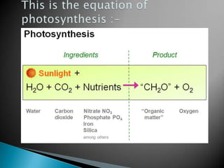 Photosynthesis (simple) | PPTX