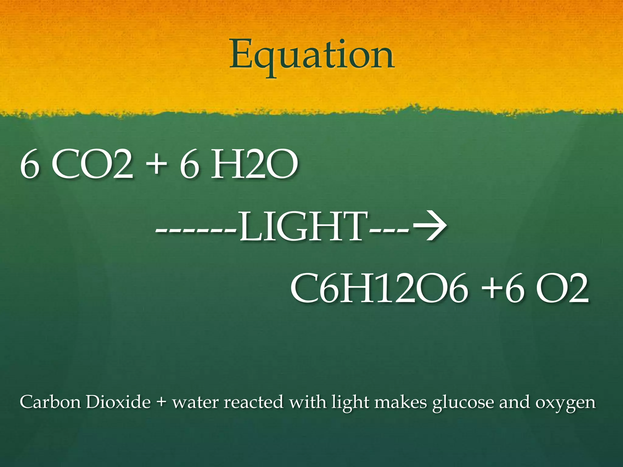 Photosynthesis | PPTX