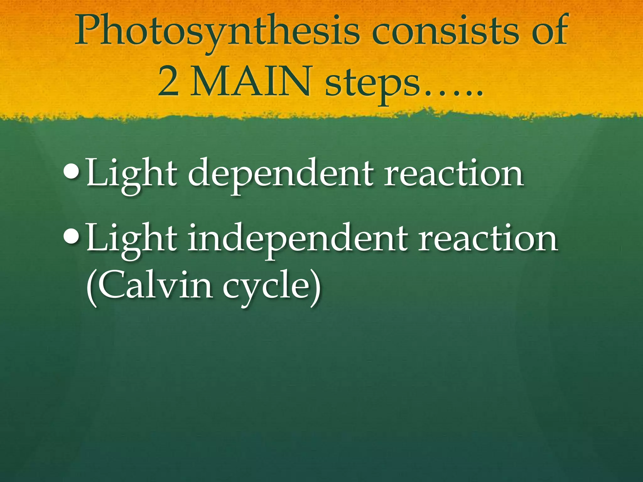 Photosynthesis | PPTX
