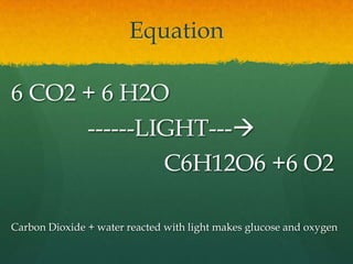 Photosynthesis | PPT