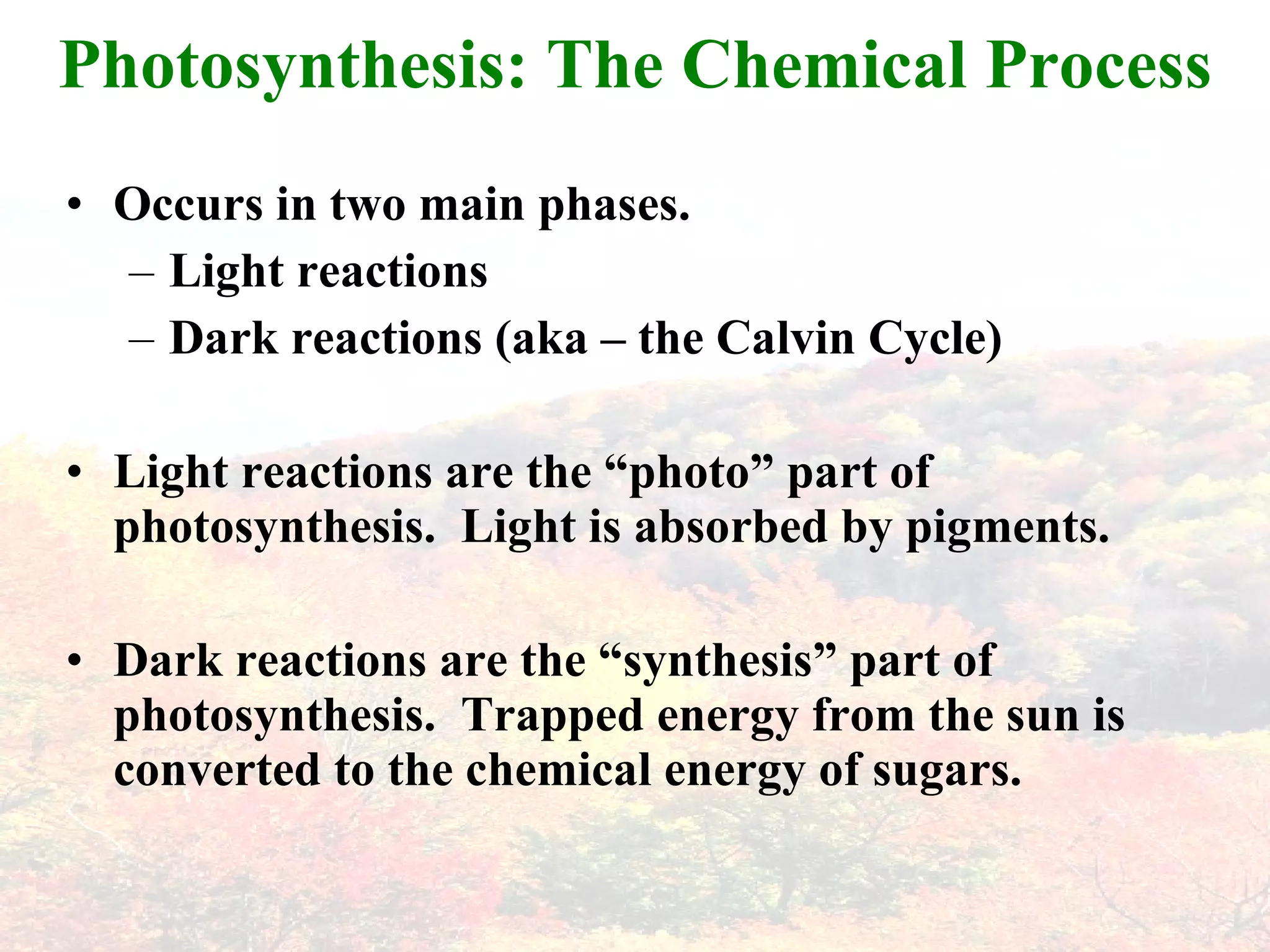 Photosynthesis | PPT