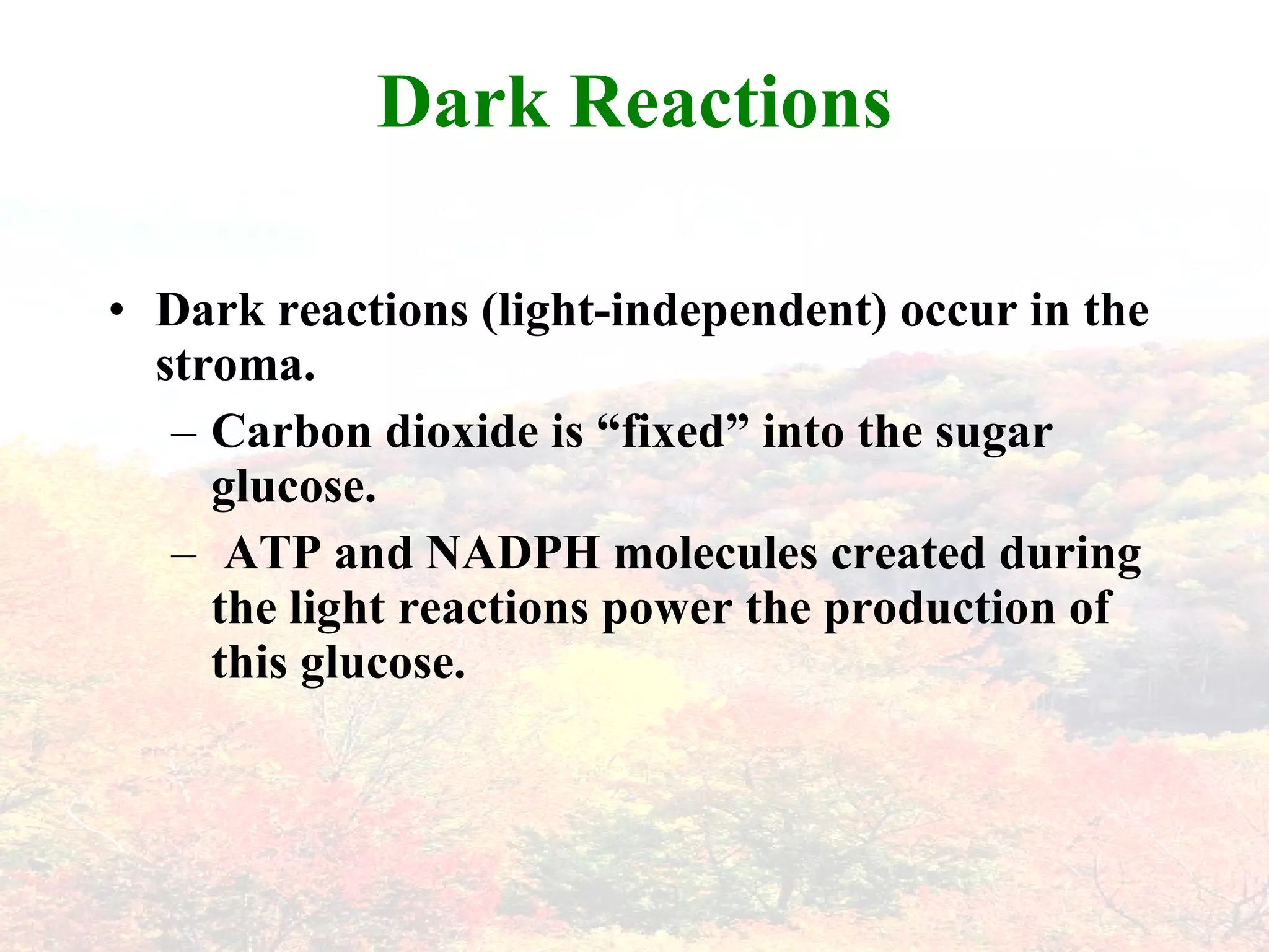 Photosynthesis | PPT