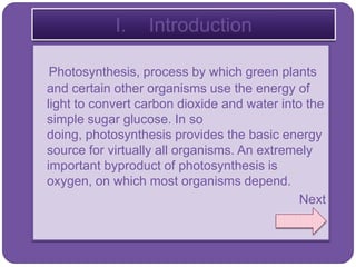 Photosynthesis | PPT
