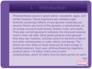 Photosynthesis | PPT