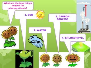 Photosynthesis | PPTX