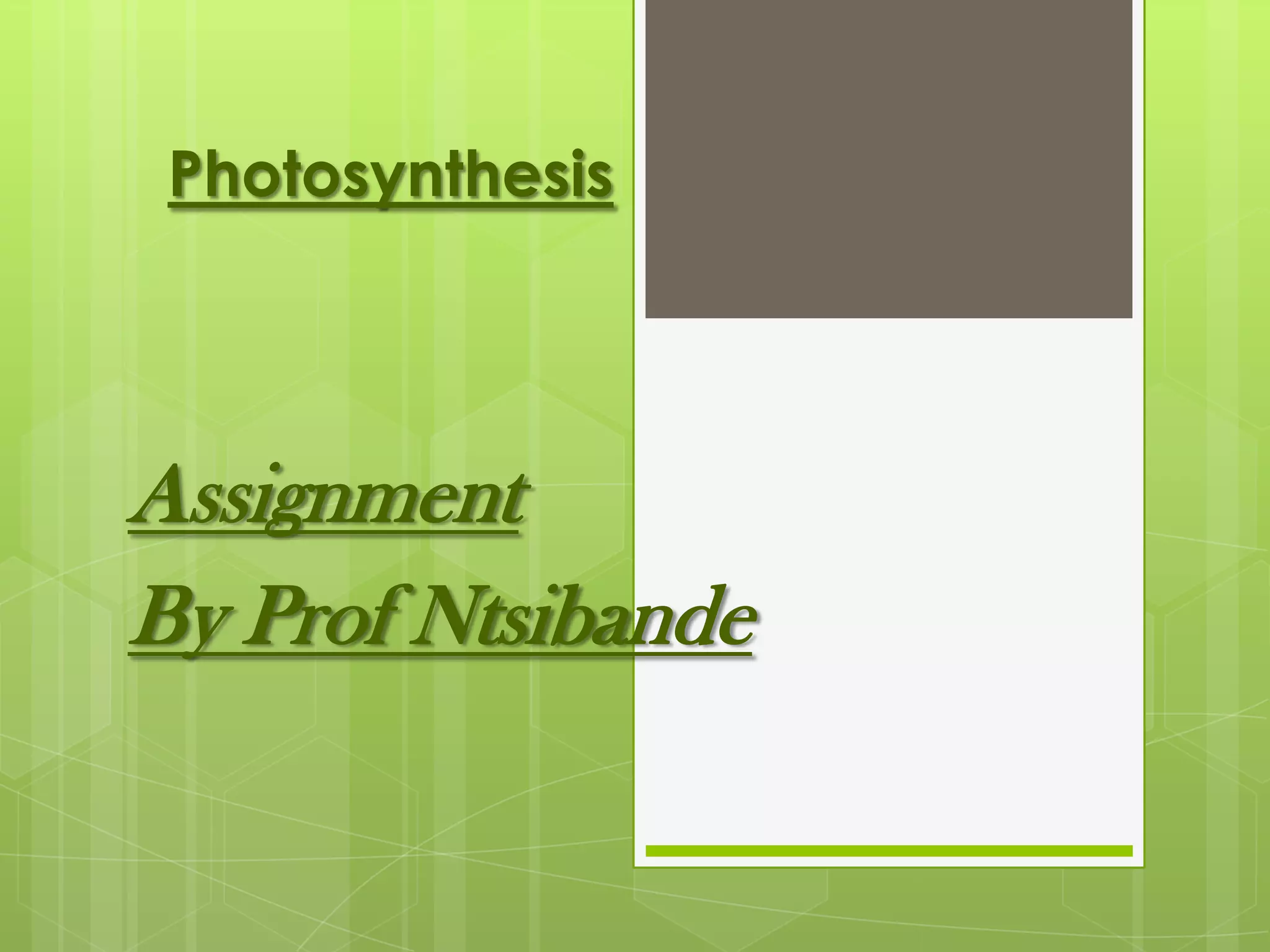 Photosynthesis (ASSIGNMENT) | PPT