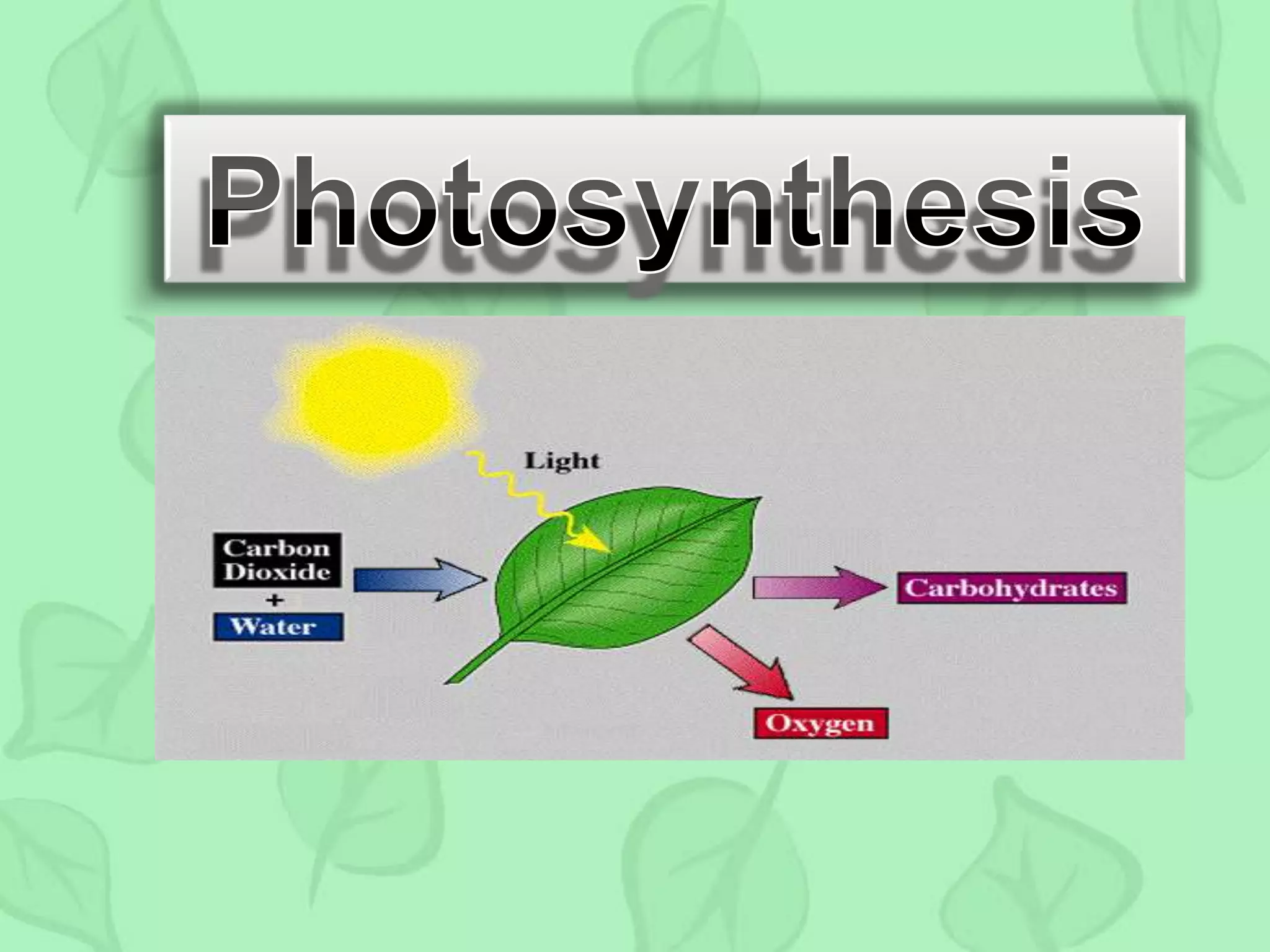 Photosynthesis | PPTX