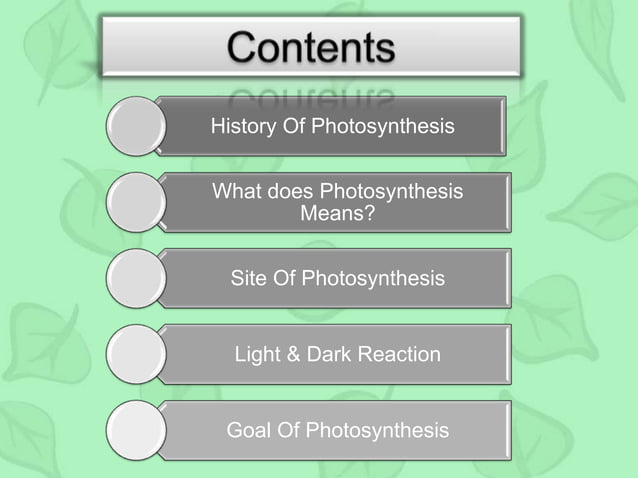 Photosynthesis | PPTX | Chemistry | Science