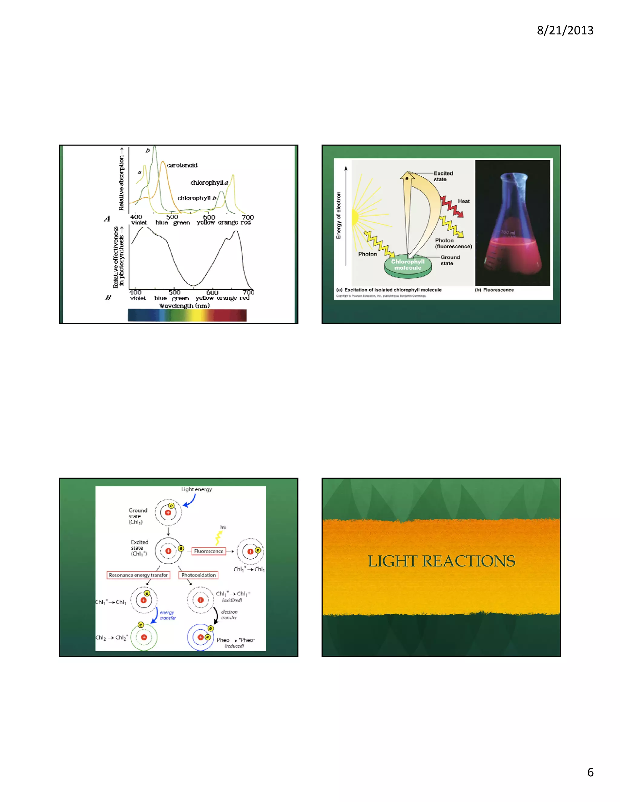 Photosynthesis | PDF