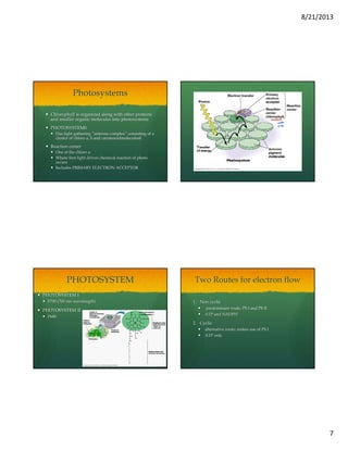 Photosynthesis | PDF