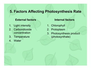 Photosynthesis | PDF