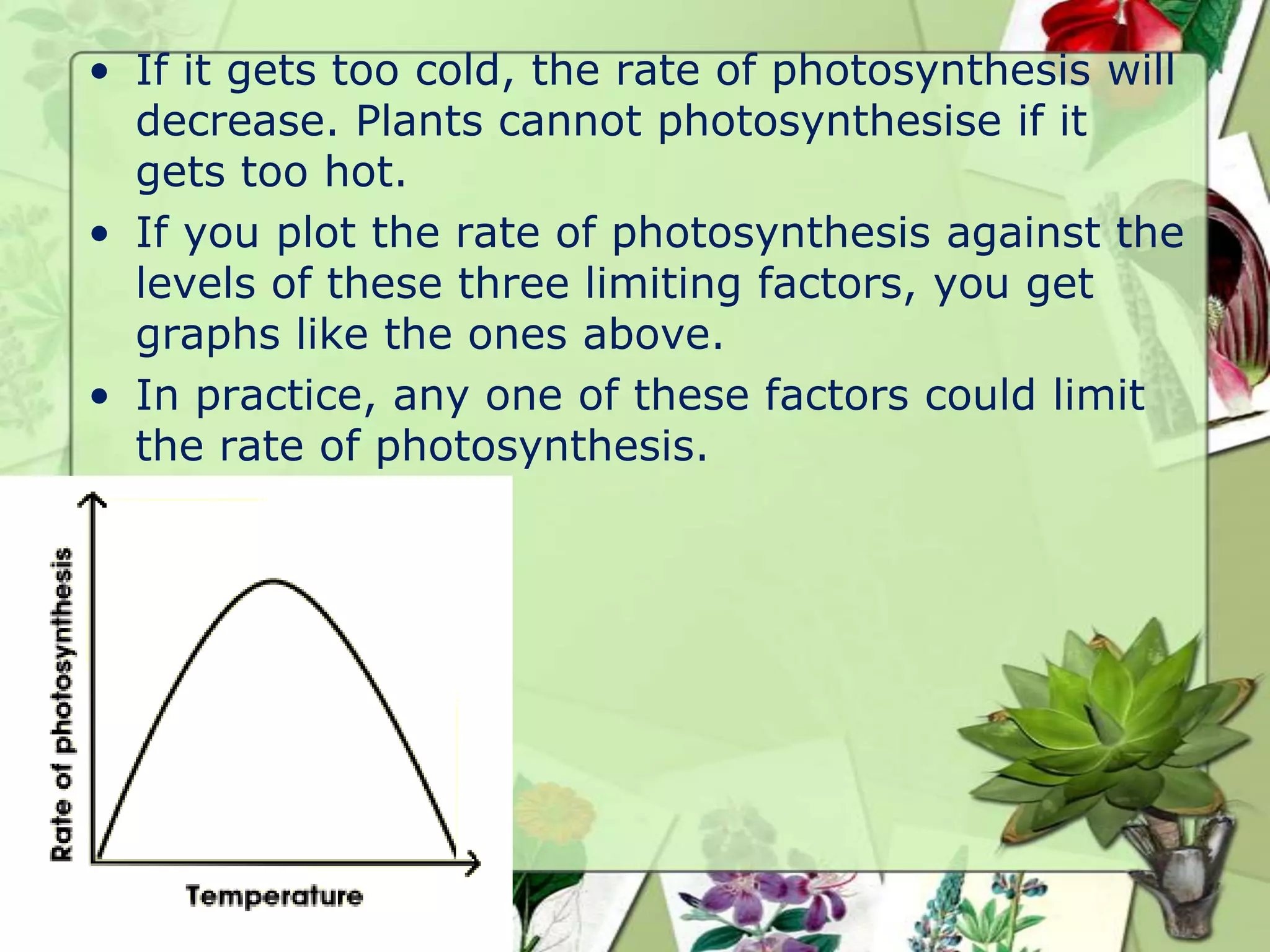 Photosynthesis revision | PPTX
