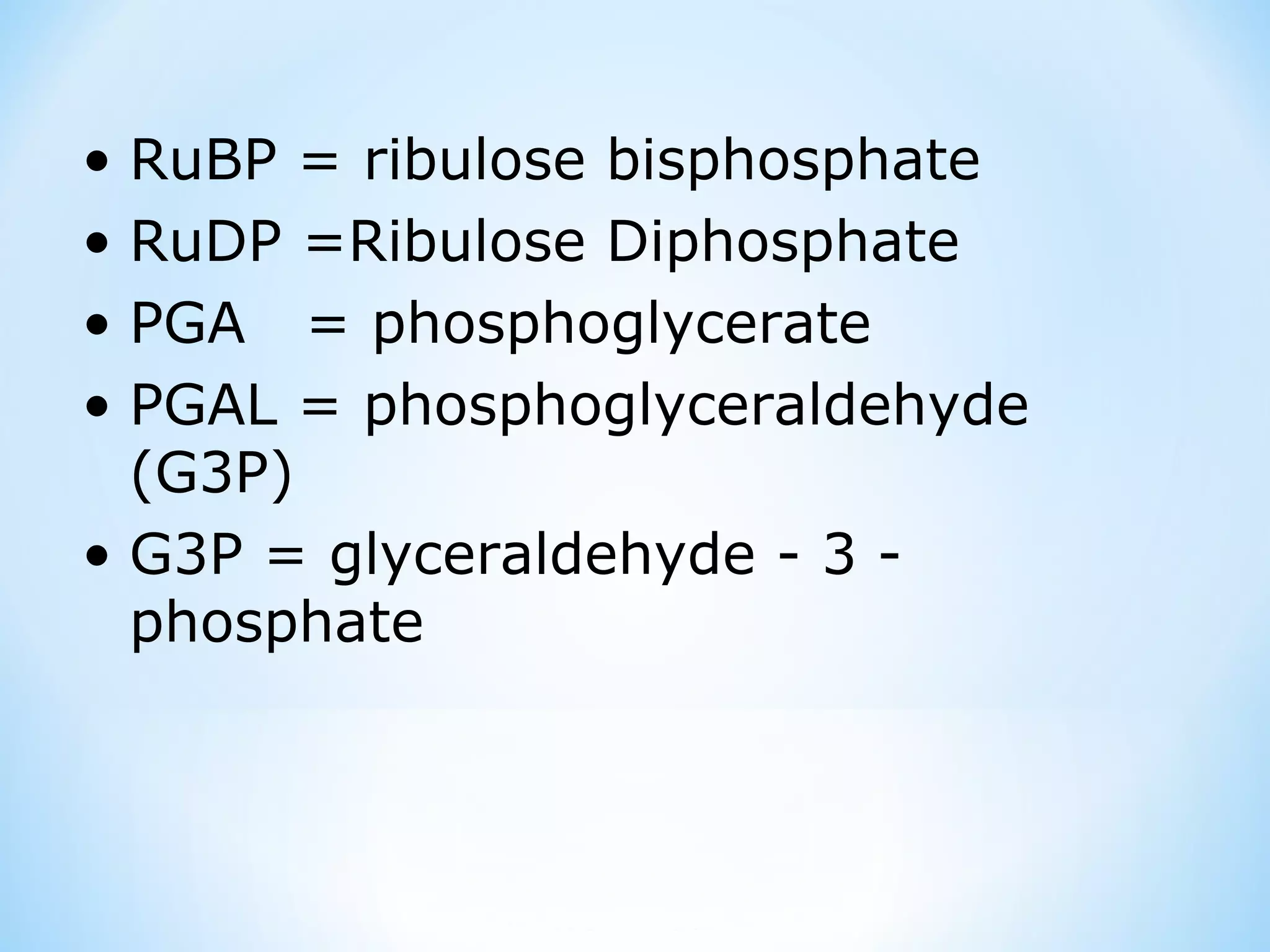 Photosynthesis | PPT