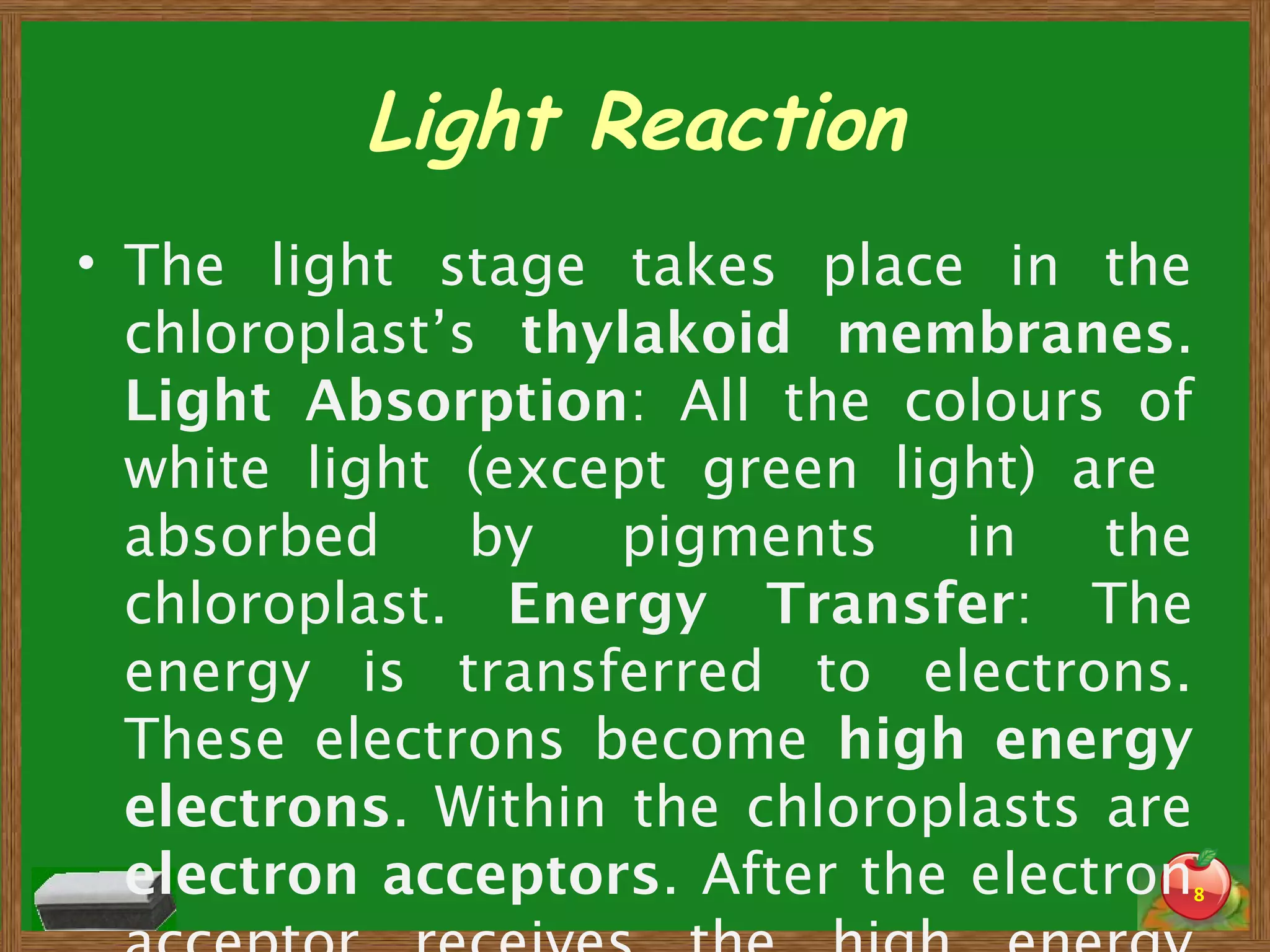 Photosynthesis (Text Explanation) | PPT