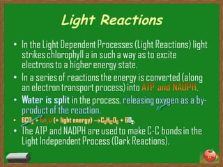 Photosynthesis (Text Explanation) | PPT