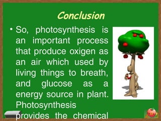 Photosynthesis (Text Explanation) | PPT