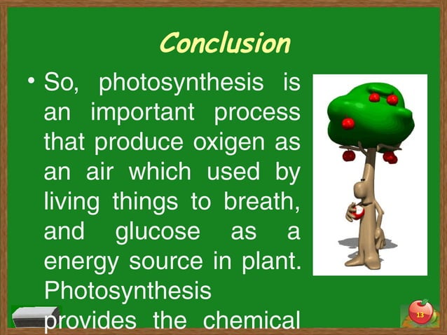 Photosynthesis (Text Explanation) | PPT