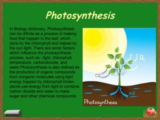 Photosynthesis (Text Explanation) | PPT