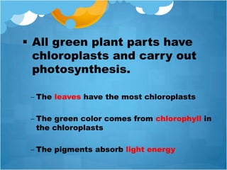 Photosynthesis | PPT