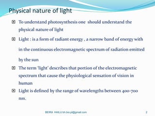 The process of photosynthesis | PPT