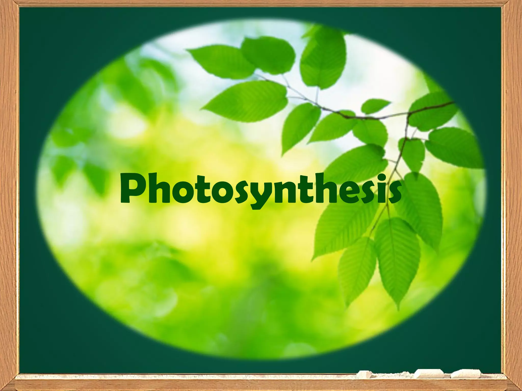 Photosynthesis | PPT