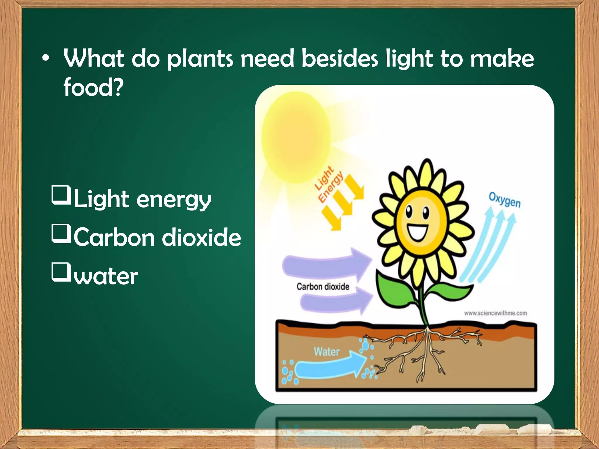 Photosynthesis | PPT