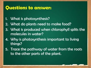 Photosynthesis | PPT | Gardening | Home & Garden