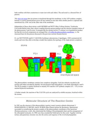 Photosynthesis | DOC