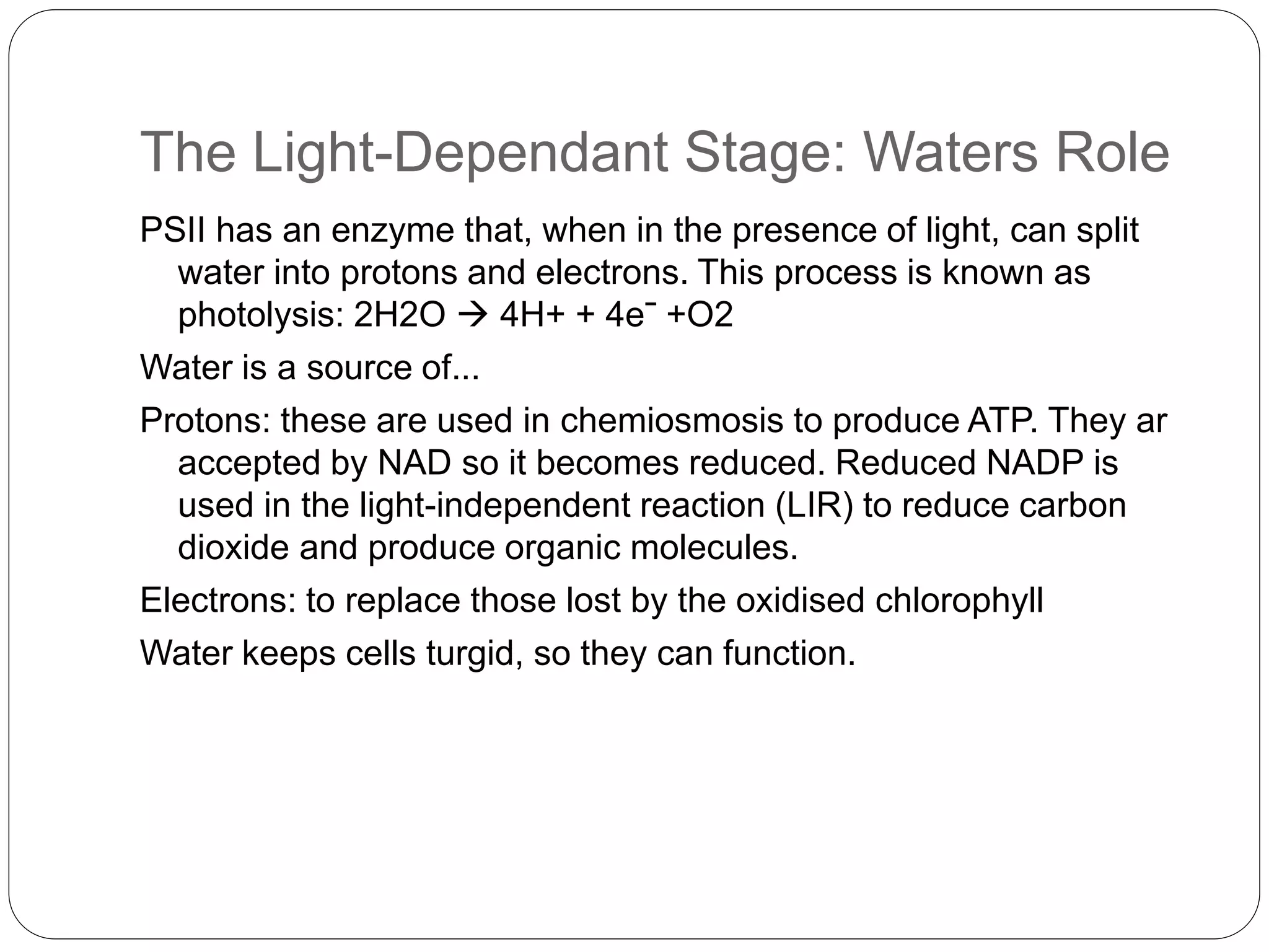 Photosynthesis | PPTX