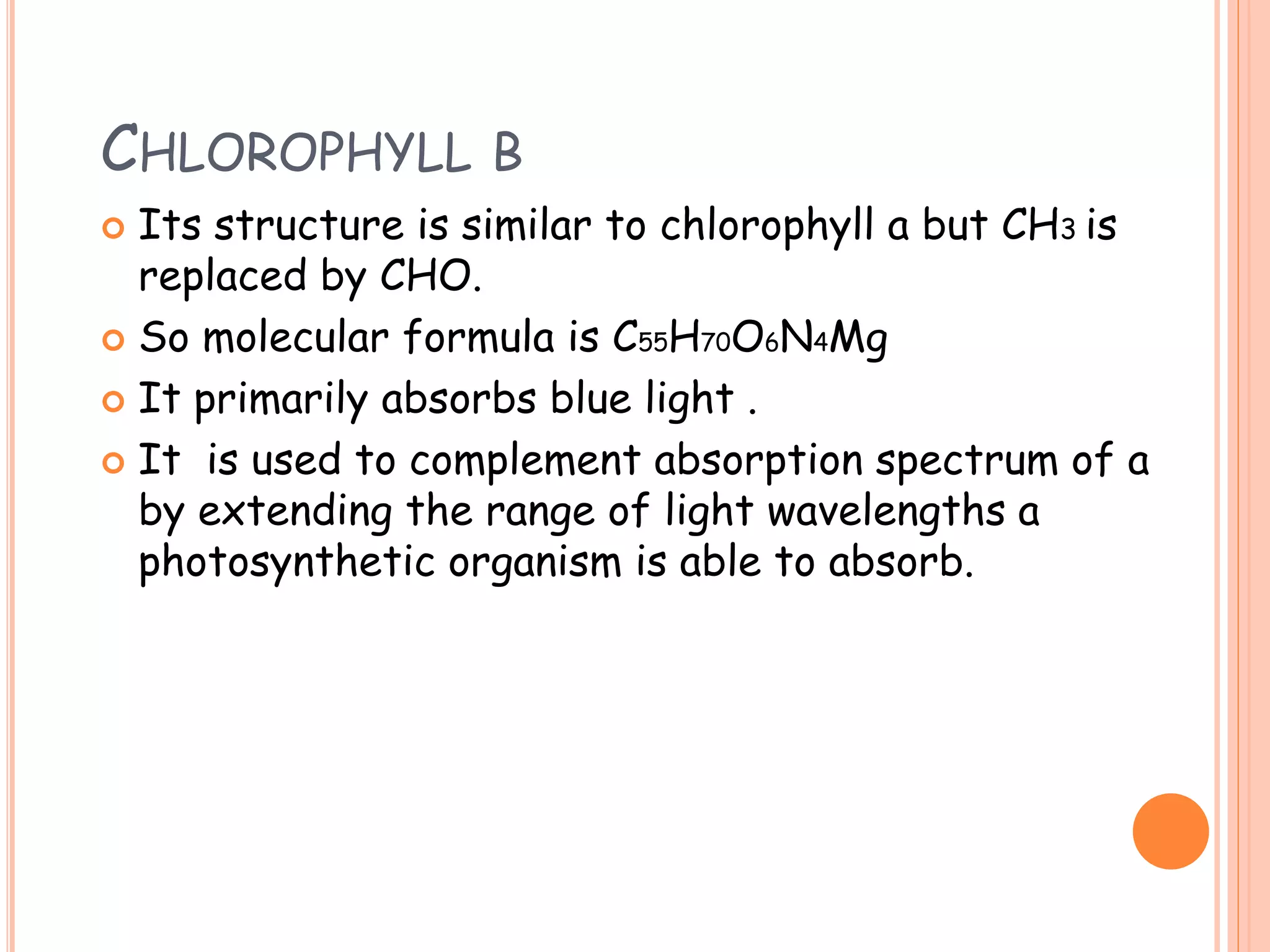 Photosynthesis | PPTX