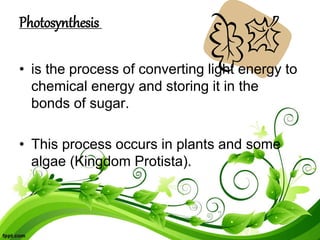Photosynthesis | PPTX