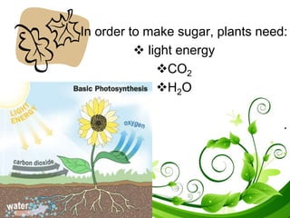 Photosynthesis | PPTX